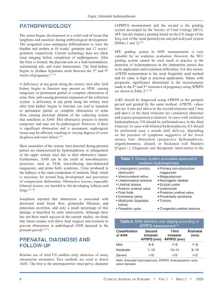 Management of Infants Diagnosed with Antenatal Hydronephrosis and ...