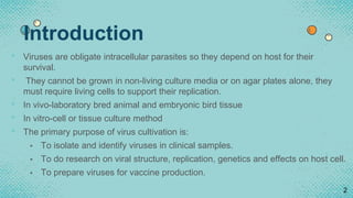 CULTIVATION OF VIRUS : Embryonated eggs | PPTX