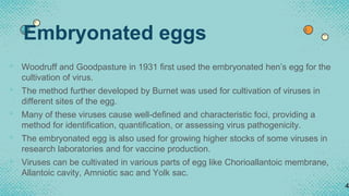 CULTIVATION OF VIRUS : Embryonated eggs | PPTX