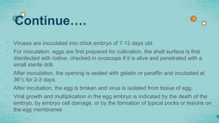CULTIVATION OF VIRUS : Embryonated eggs | PPTX