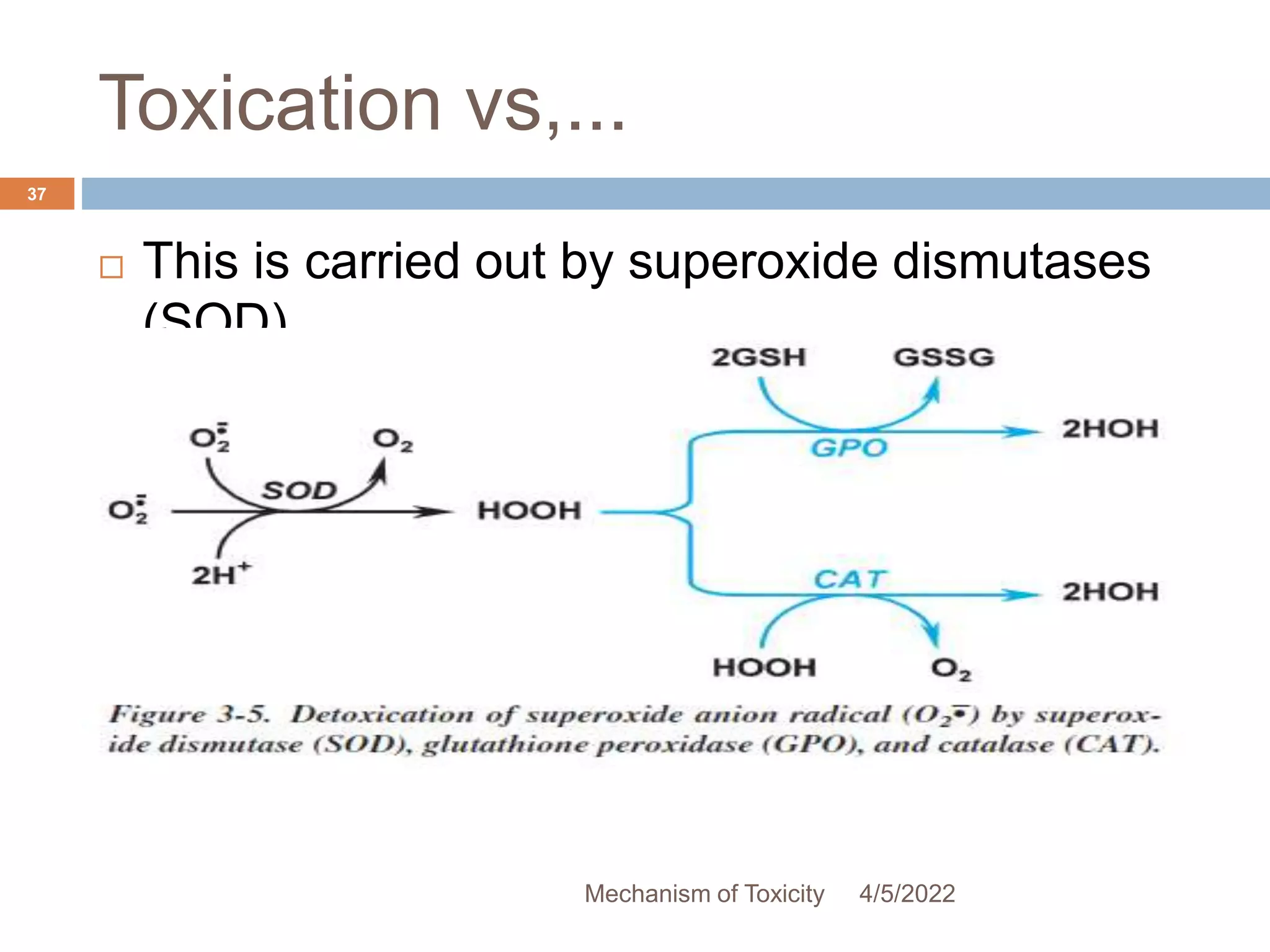 2.6 mechanisms of toxicity | PPTX