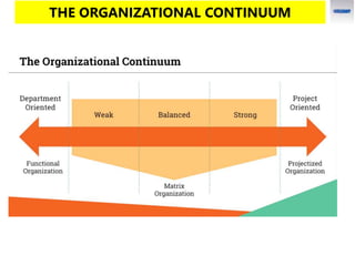 2.1 skill org analysis | PPT