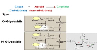 CH-02. Derivatives of Monosaccharides by Santhosh Kumar N | PPTX