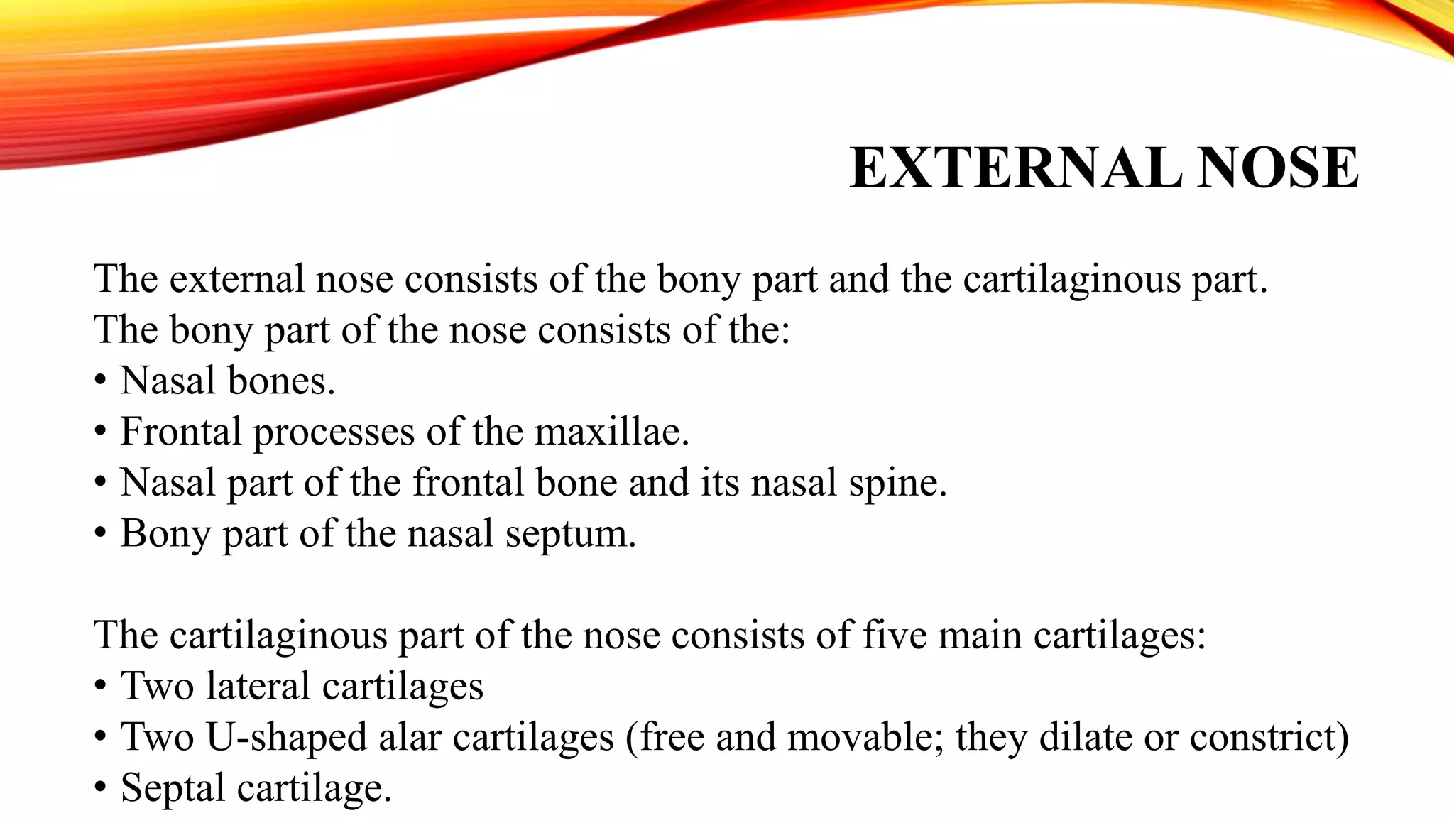 2.FUNCTIONAL ANATOMY OF THE NOSE.pptx