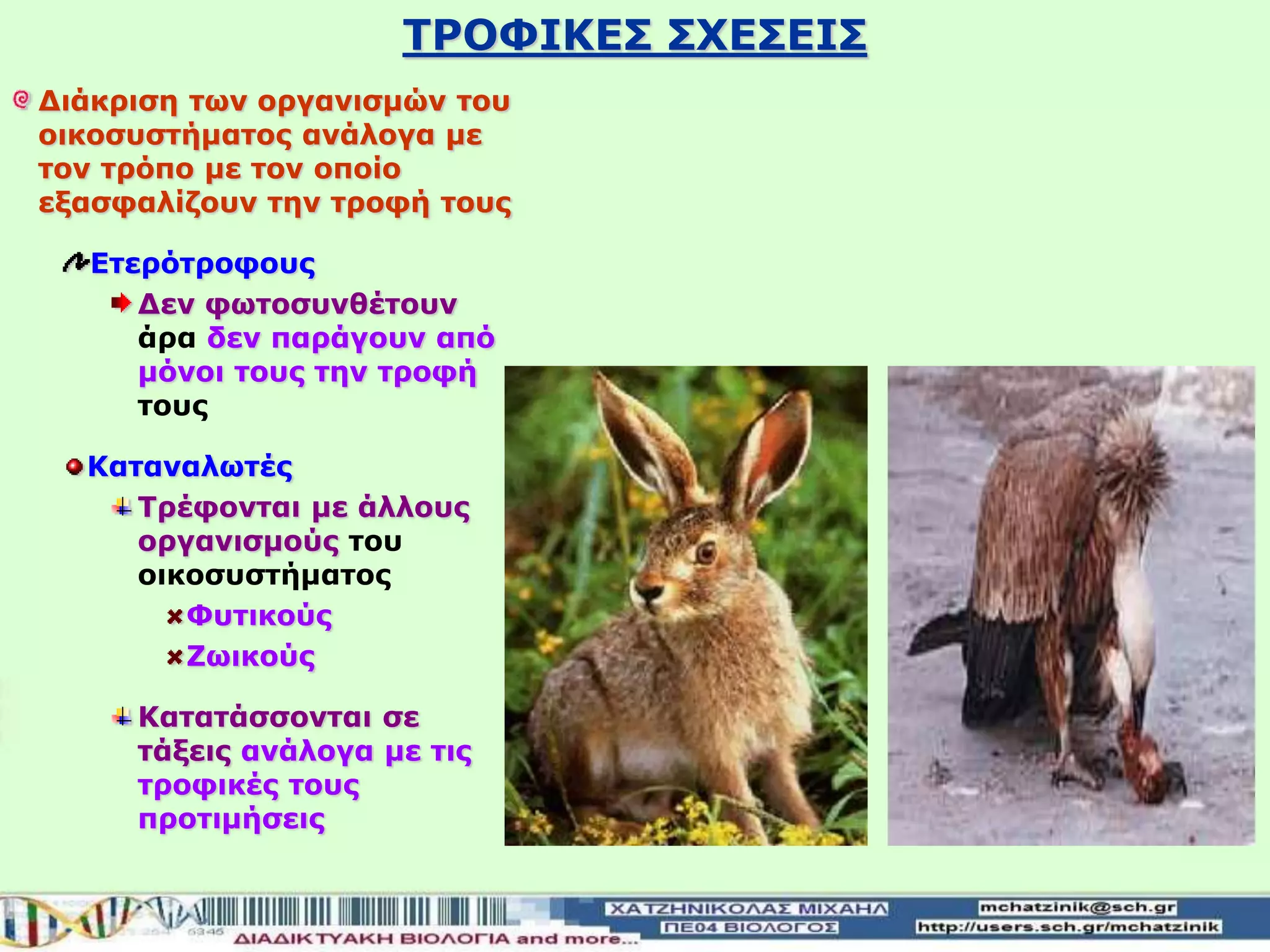 2. trofikessxeseiskairoienergias.ppt