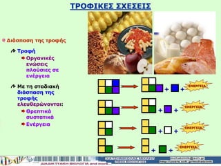 2. trofikessxeseiskairoienergias.ppt