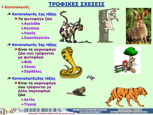 2. trofikessxeseiskairoienergias.ppt