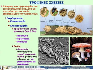 2. trofikessxeseiskairoienergias.ppt