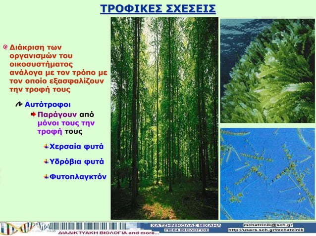 2. trofikessxeseiskairoienergias.ppt