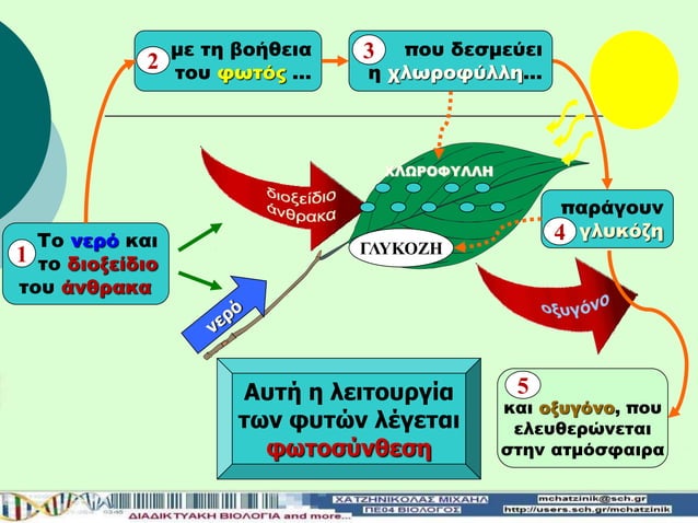 2. trofikessxeseiskairoienergias.ppt