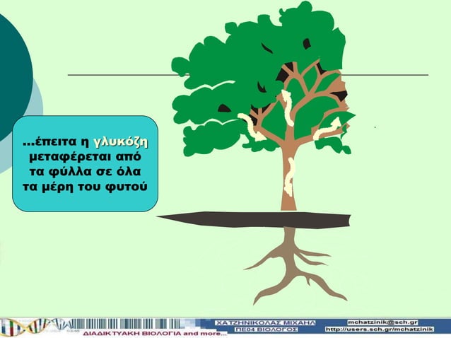 2. trofikessxeseiskairoienergias.ppt