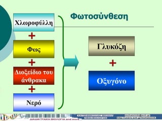 2. trofikessxeseiskairoienergias.ppt