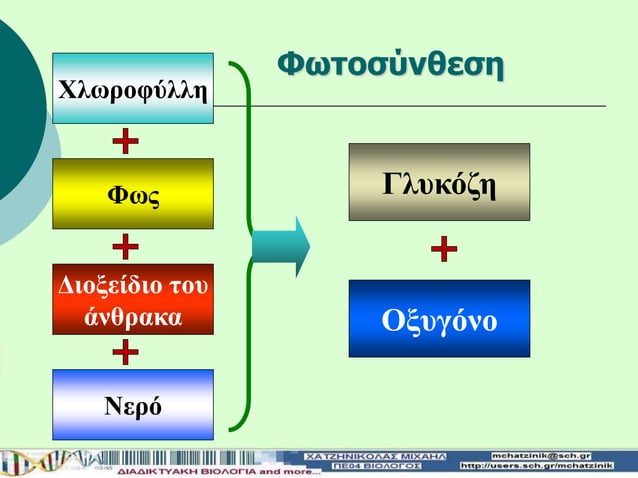 2. trofikessxeseiskairoienergias.ppt