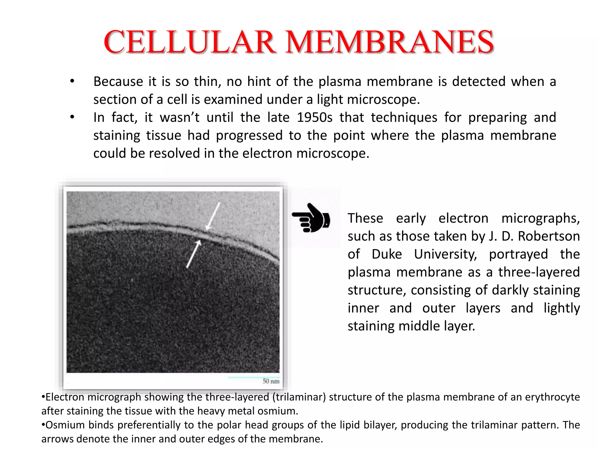 2.1CELLULAR MEMBRANES intro and history.pptx