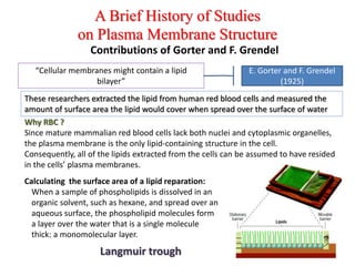 2.1CELLULAR MEMBRANES intro and history.pptx