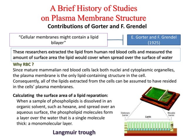 2.1CELLULAR MEMBRANES intro and history.pptx