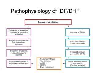 Dengue Fever Clinical | PPT