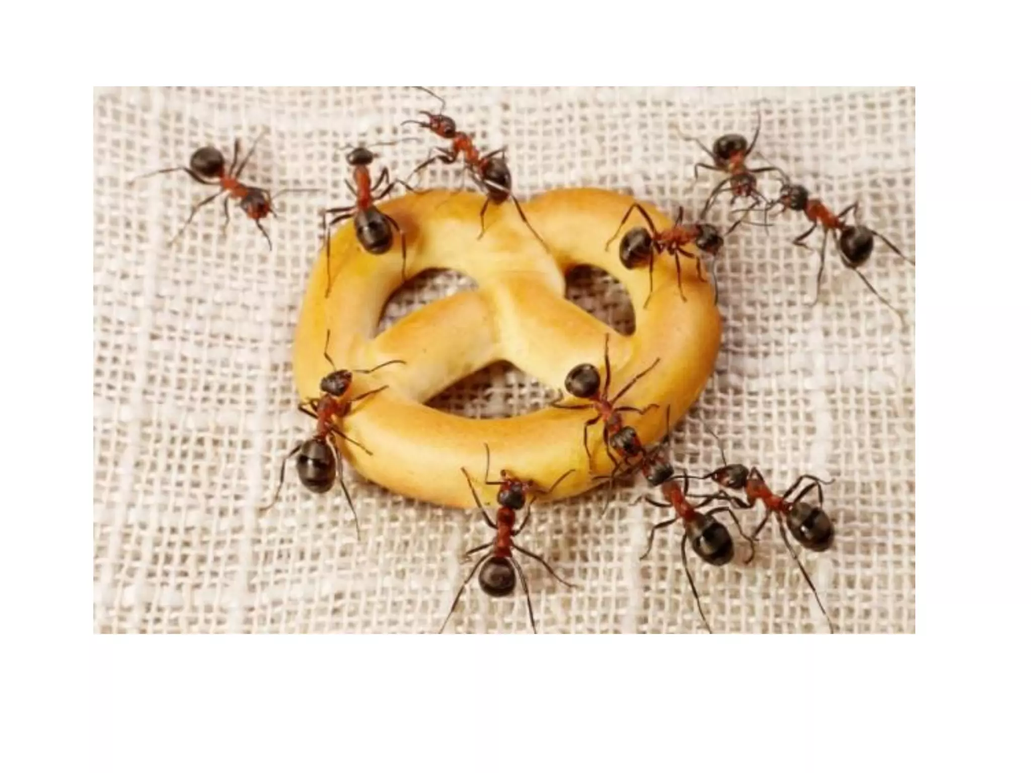 2. jirim dan struktur atom KSSM.pdf