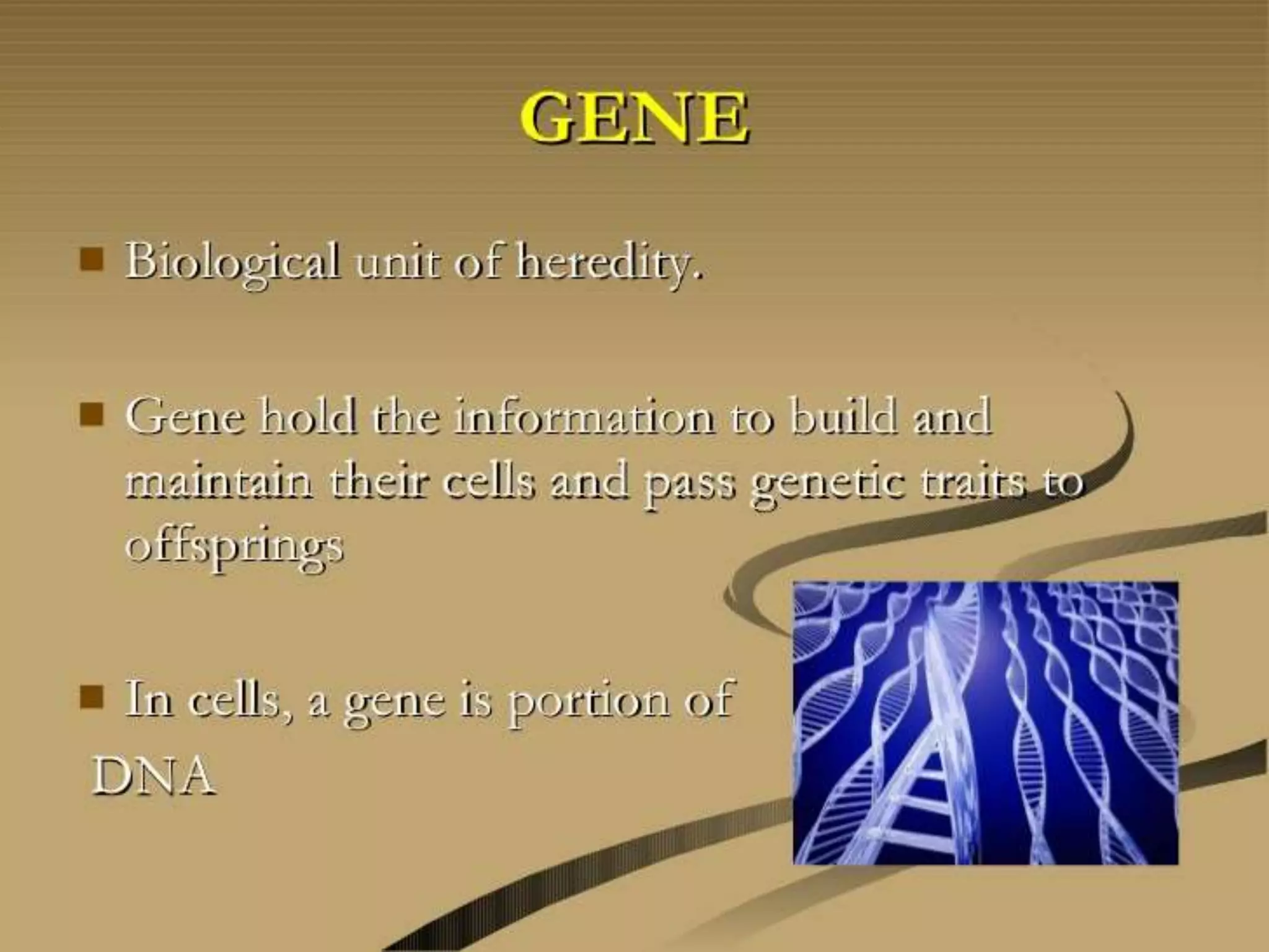 2. Genetics terminology.pptx