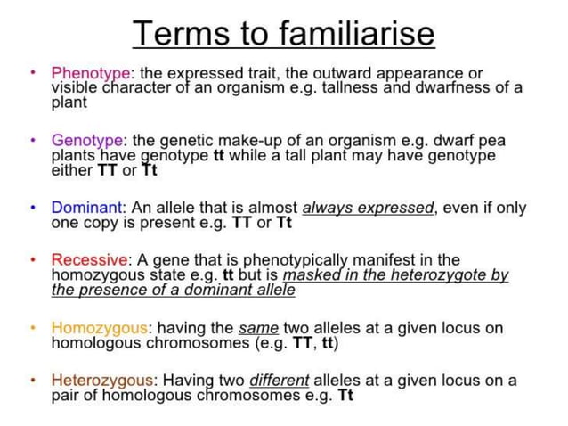 2. Genetics terminology.pptx