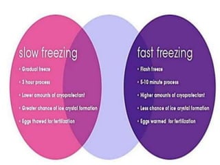 FREEZING | PPTX