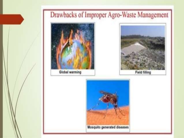 Food processing waste management | PPTX