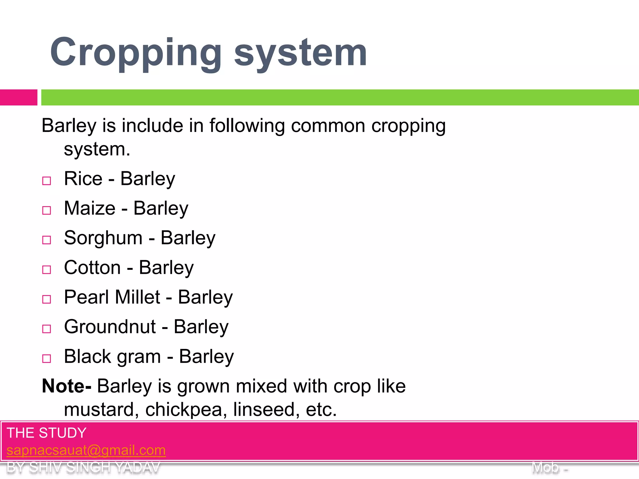 Barley Crop.ppt slidshare | PPTX