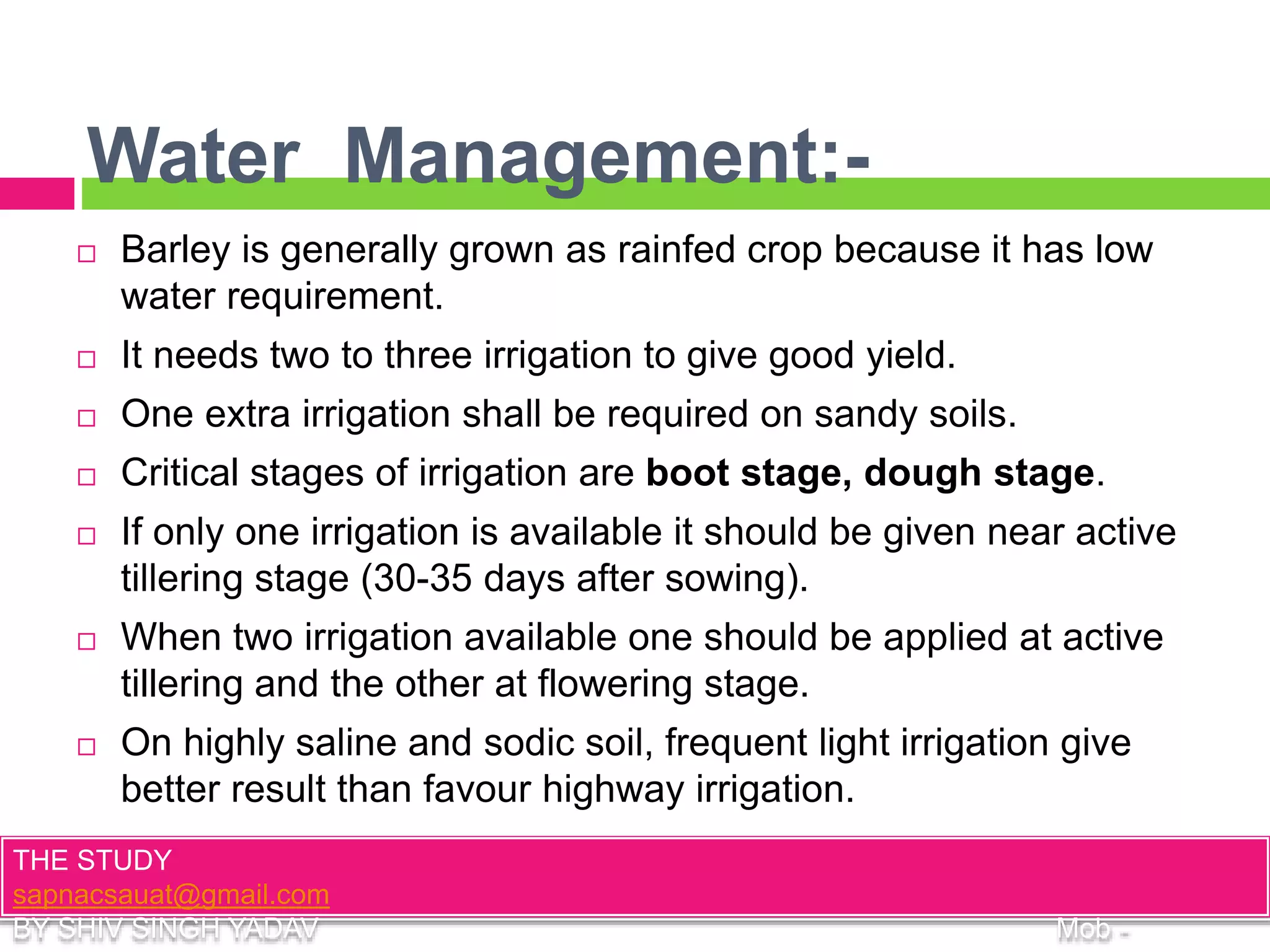 Barley Crop.ppt slidshare | PPTX