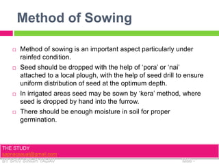 Barley Crop.ppt slidshare | PPTX