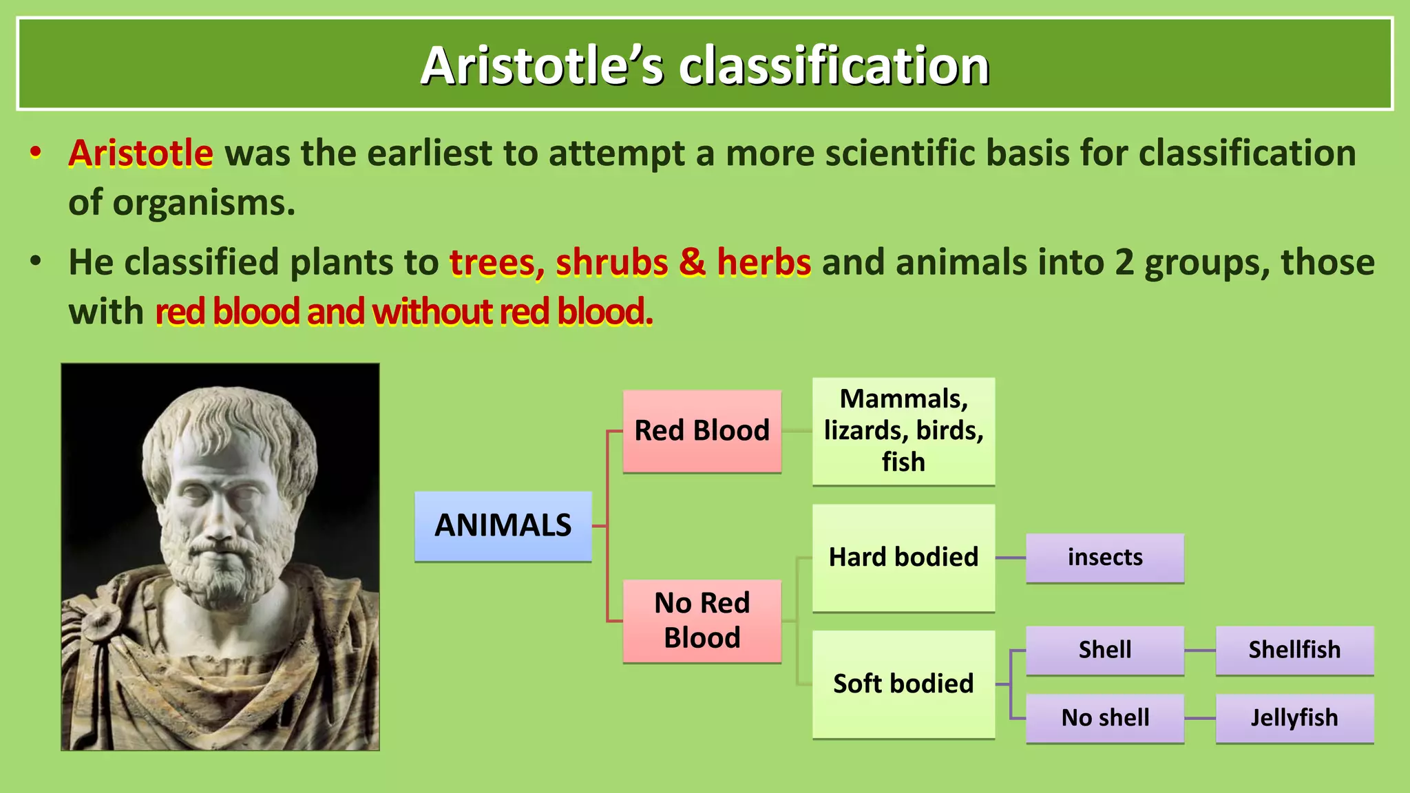 Biological classification by BNP | PDF