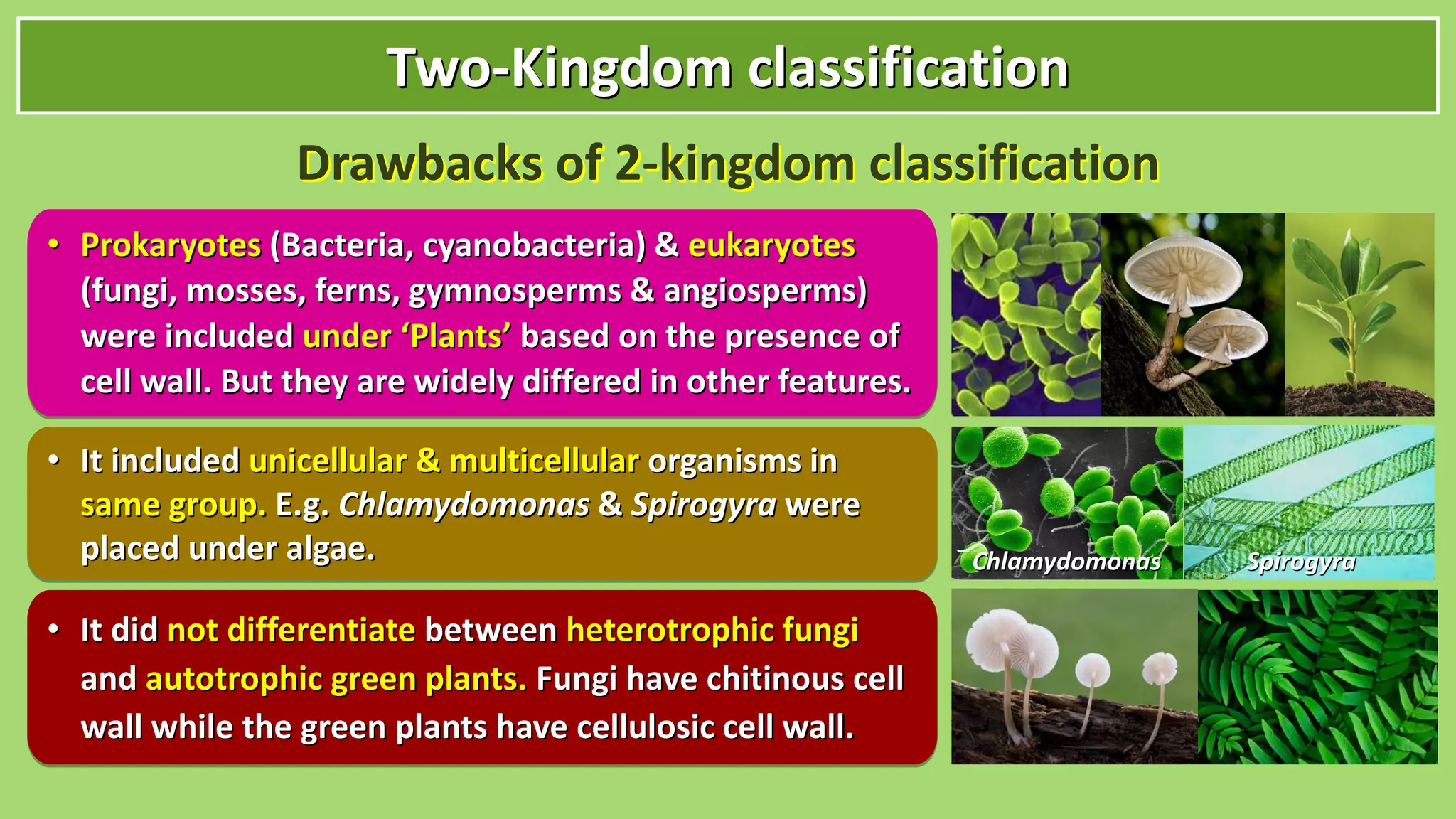 Biological classification by BNP | PPT