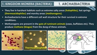 Biological classification by BNP | PPT