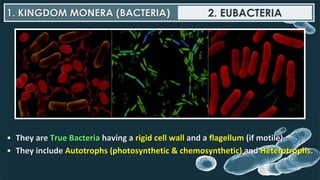 Biological classification by BNP | PPT
