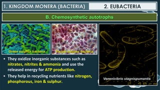 Biological classification by BNP | PPT