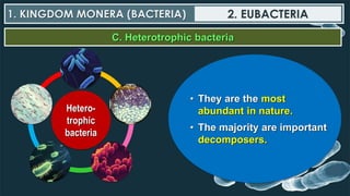 Biological classification by BNP | PPT
