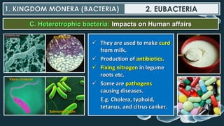 Biological classification by BNP | PPT