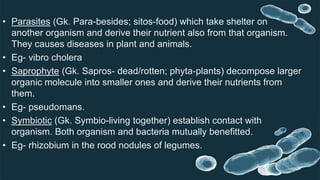 Biological classification by BNP | PPT