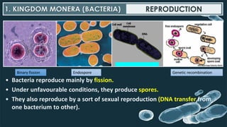 Biological classification by BNP | PPT