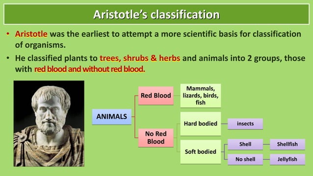 Biological classification by BNP | PPT