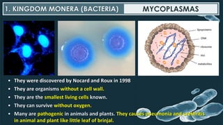 Biological classification by BNP | PPT