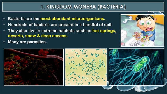 Biological classification by BNP | PPT