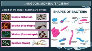 Biological classification by BNP | PPT
