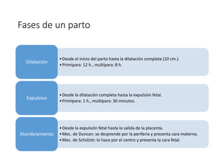 Etapas Y Fases Del Trabajo De Parto