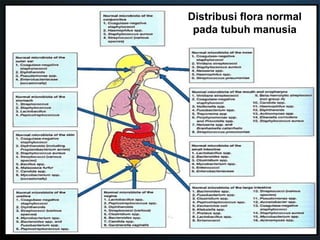 2.Mikrobiota Manusia.pdf