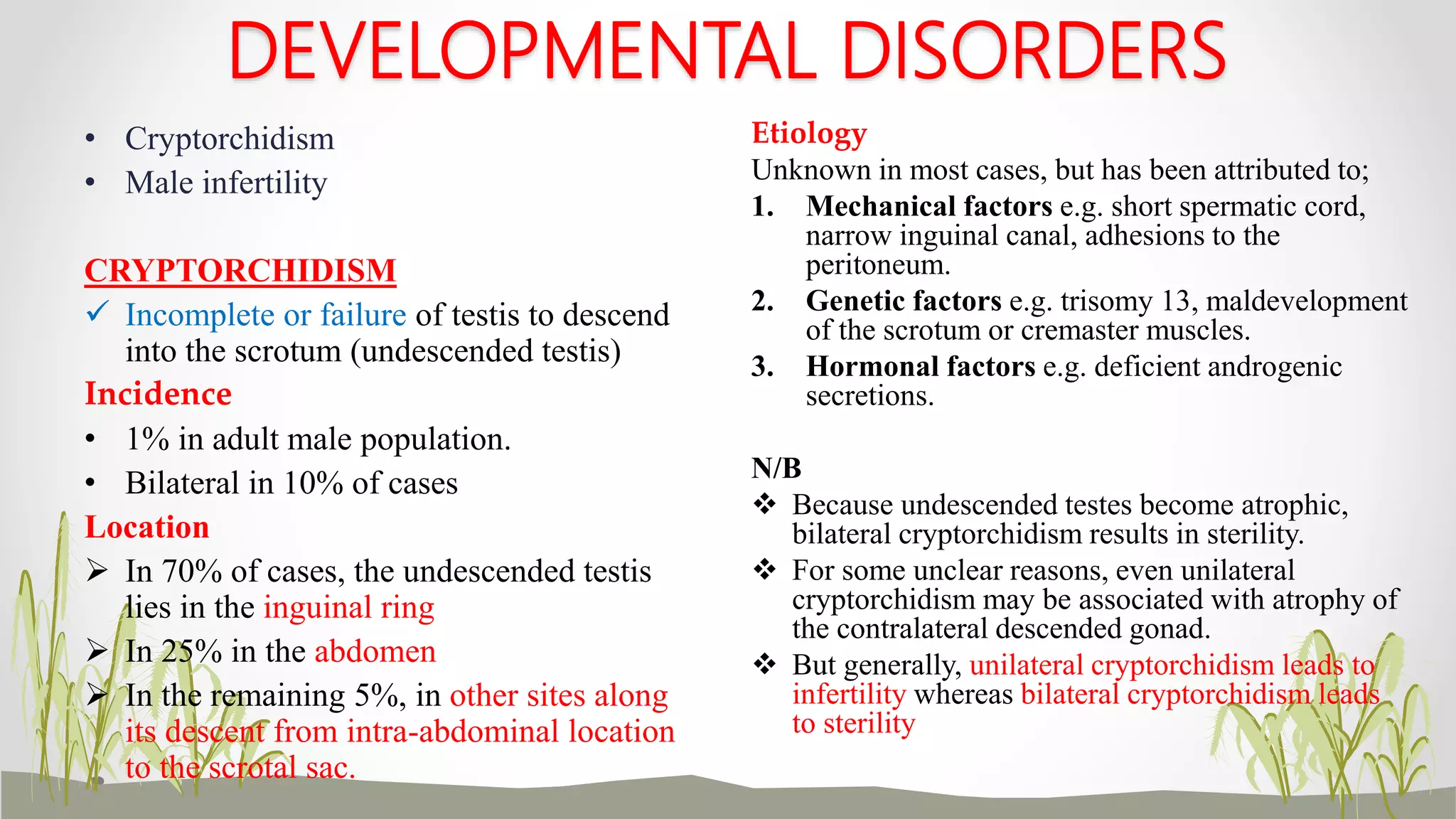 2. PATHOLOGIES OF THE TESTIS & EPIDIDYMIS.pptx