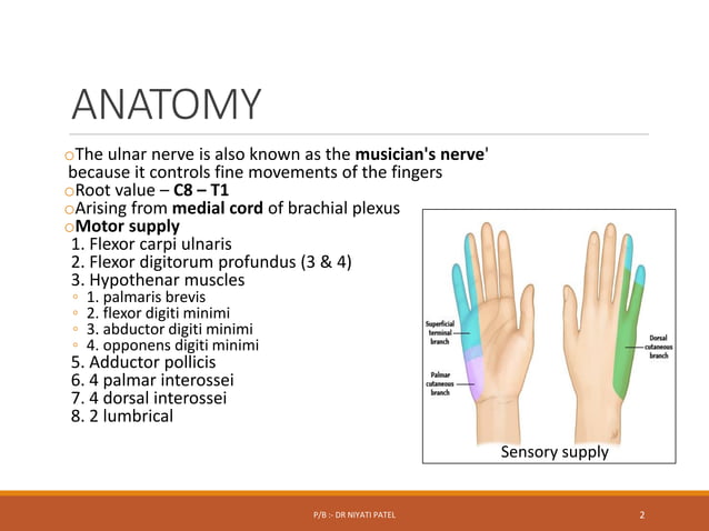 2.ULNAR NEUROPATHY.pdf