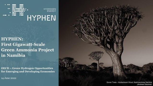 HYPHEN: First gigawatt-scale green ammonia project in Namibia - Marco ...