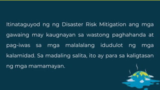 2. Disaster risk mitigation module.pptx
