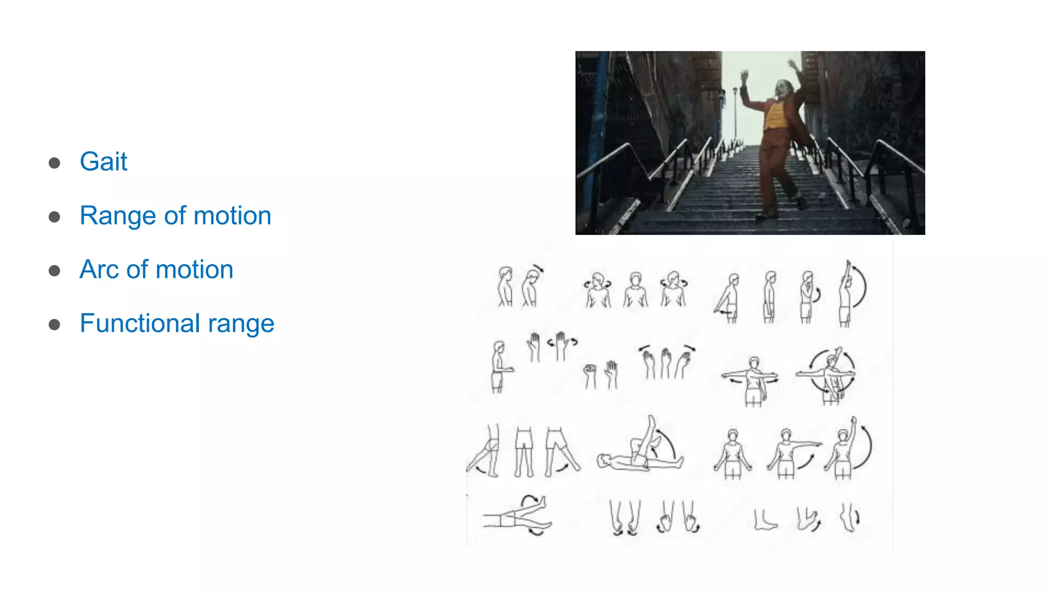 Orthopaedic terminology | PPTX