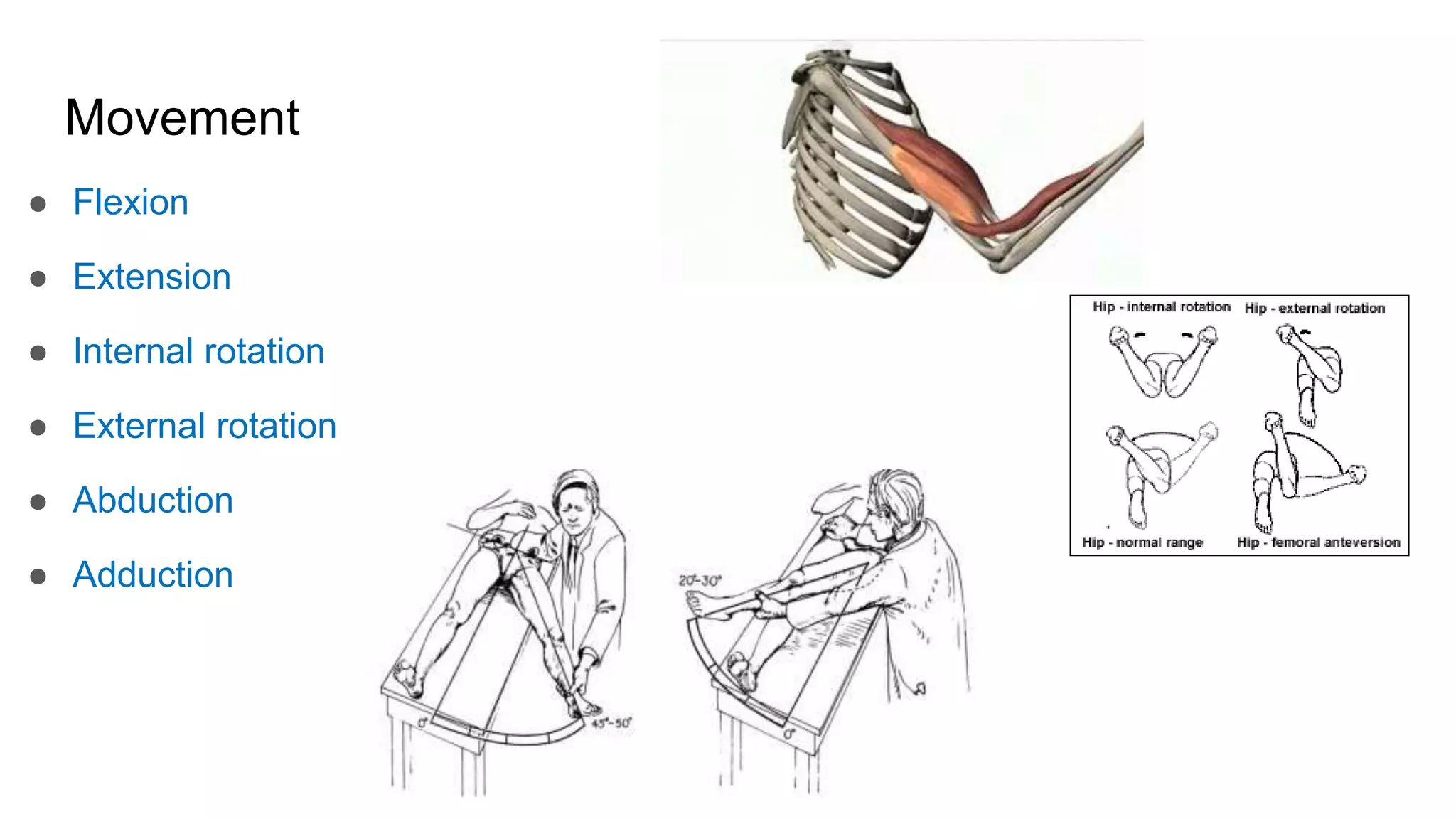 Orthopaedic terminology | PPTX